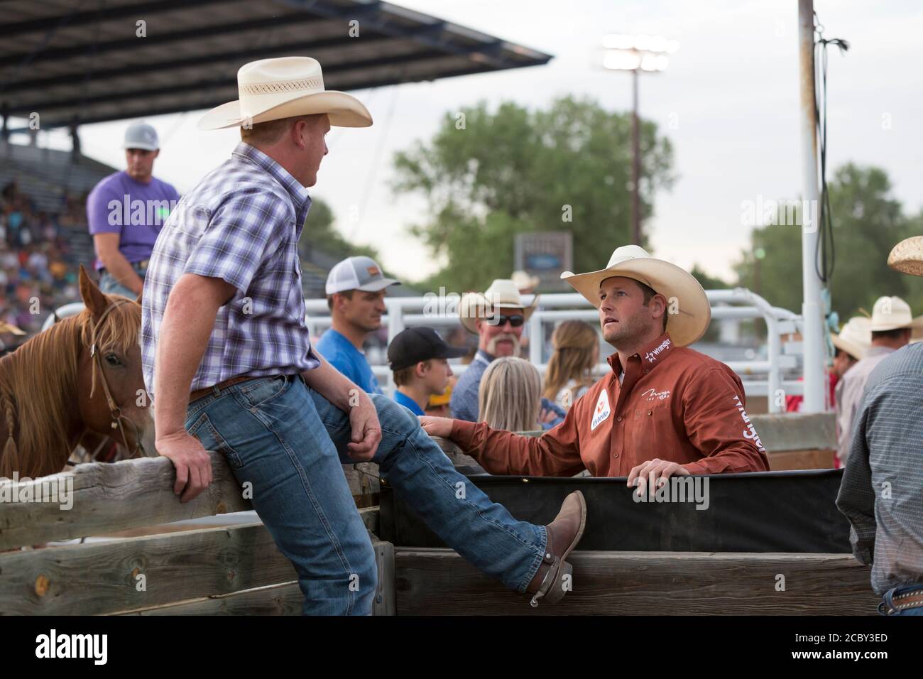 Veteran steer wrestler Blake Knowles speaks with a cohort during the ...