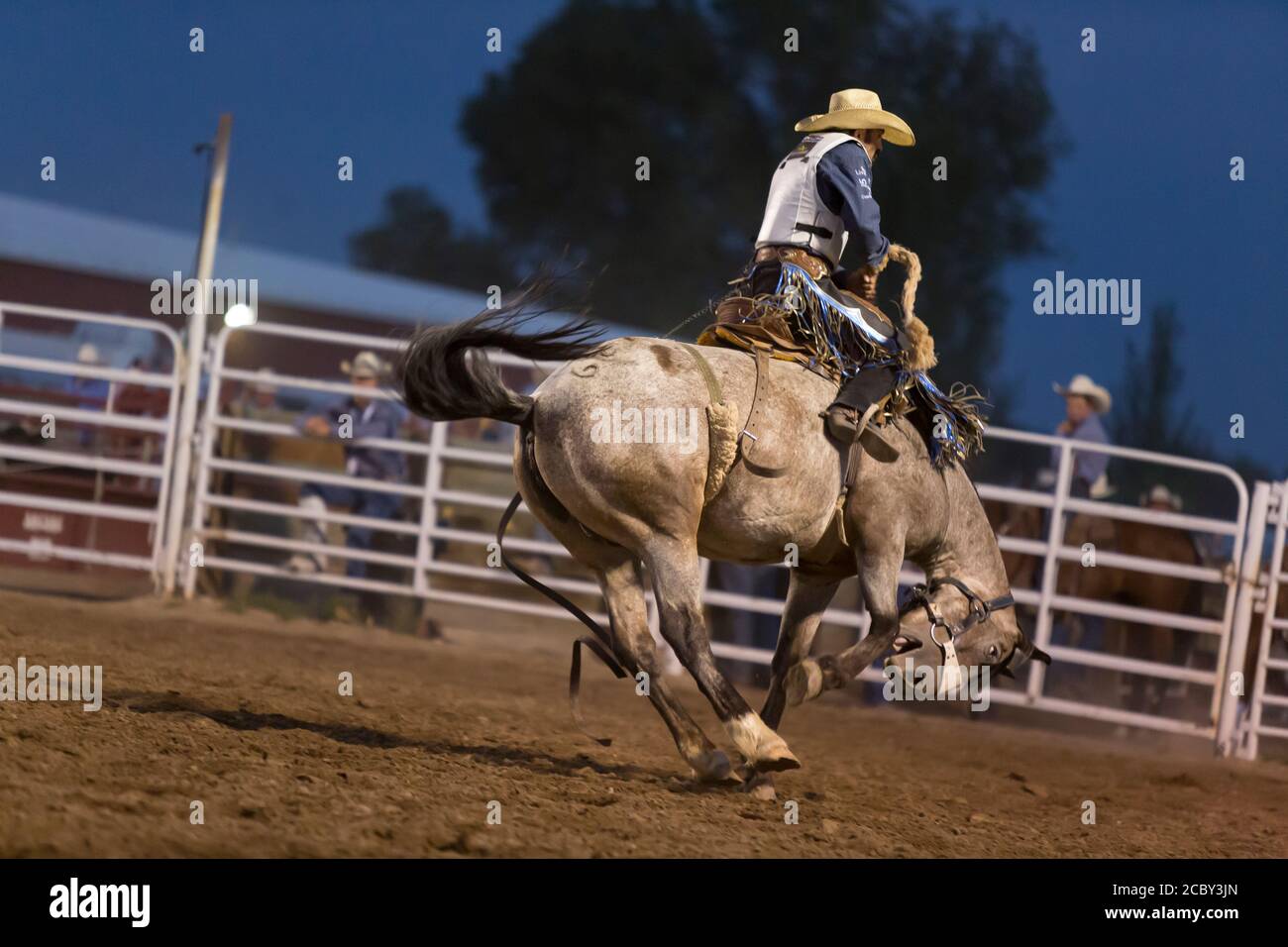 Mitch Pollock competes in the saddle bronc event at the PRCA Rodeo at ...