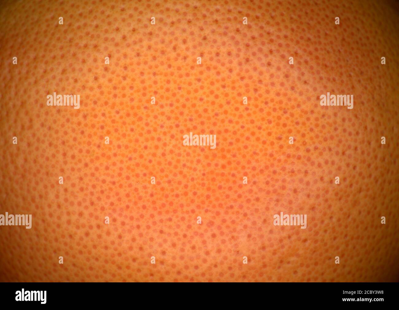 Orange skin texture useful as a background with vignetting Stock Photo ...