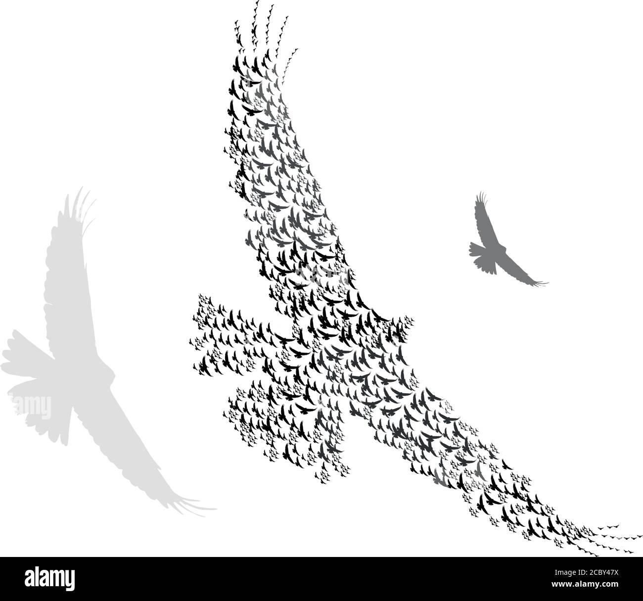 Flying birds. Vector image. White background Stock Vector Image & Art ...