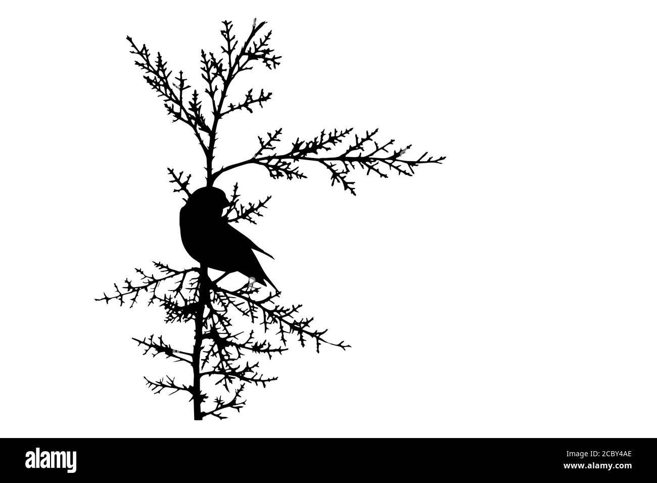Cute little birds. Vector images. White background Stock Vector Image ...