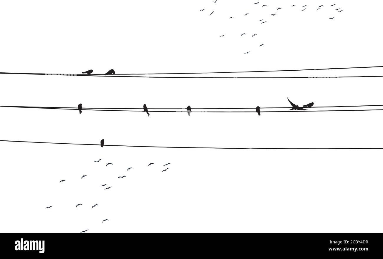 Bird on cable Stock Vector Images - Alamy