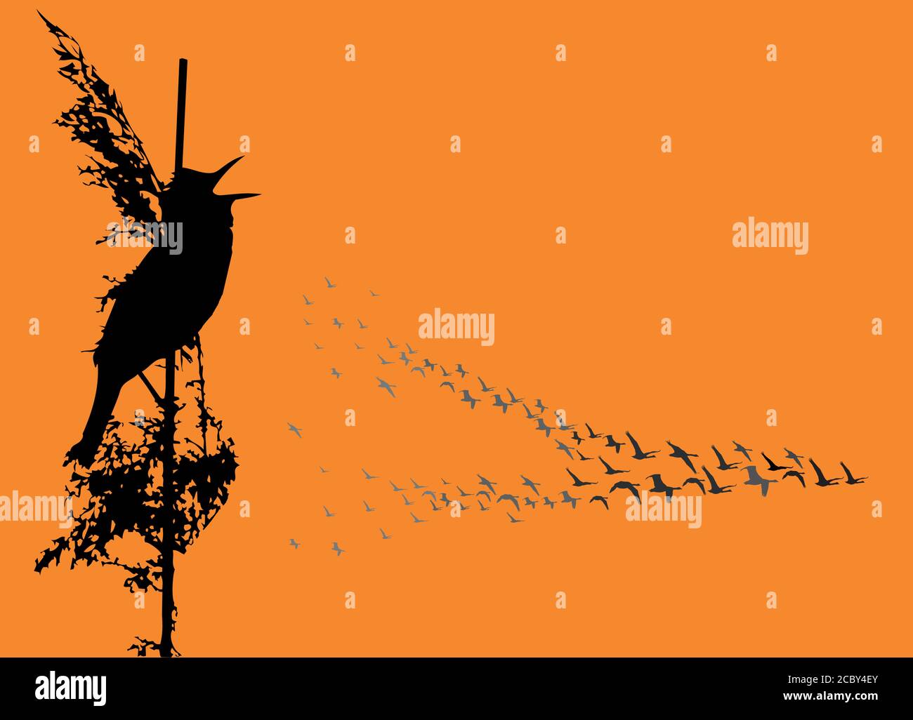 Flying birds. Sunset nature background. Vector image Stock Vector Image ...