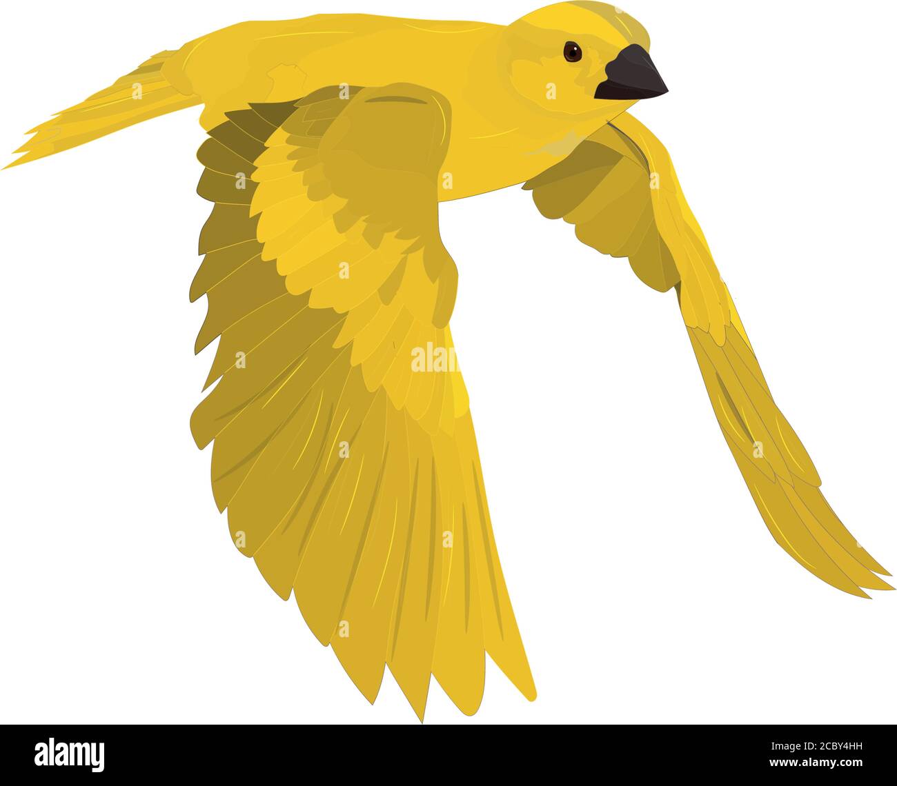 Flying bird. Vector birds. White background Stock Vector Image & Art ...