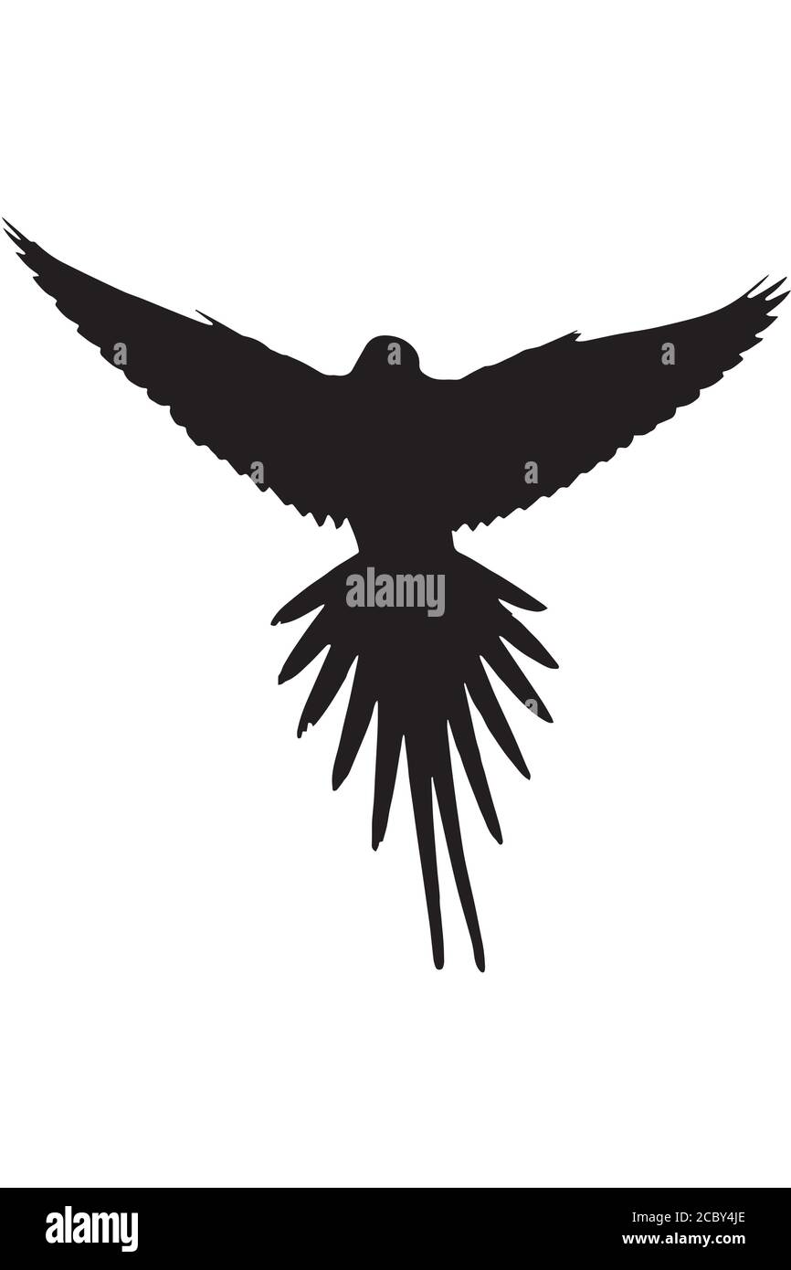 Flying bird. Vector birds. White background Stock Vector Image & Art ...