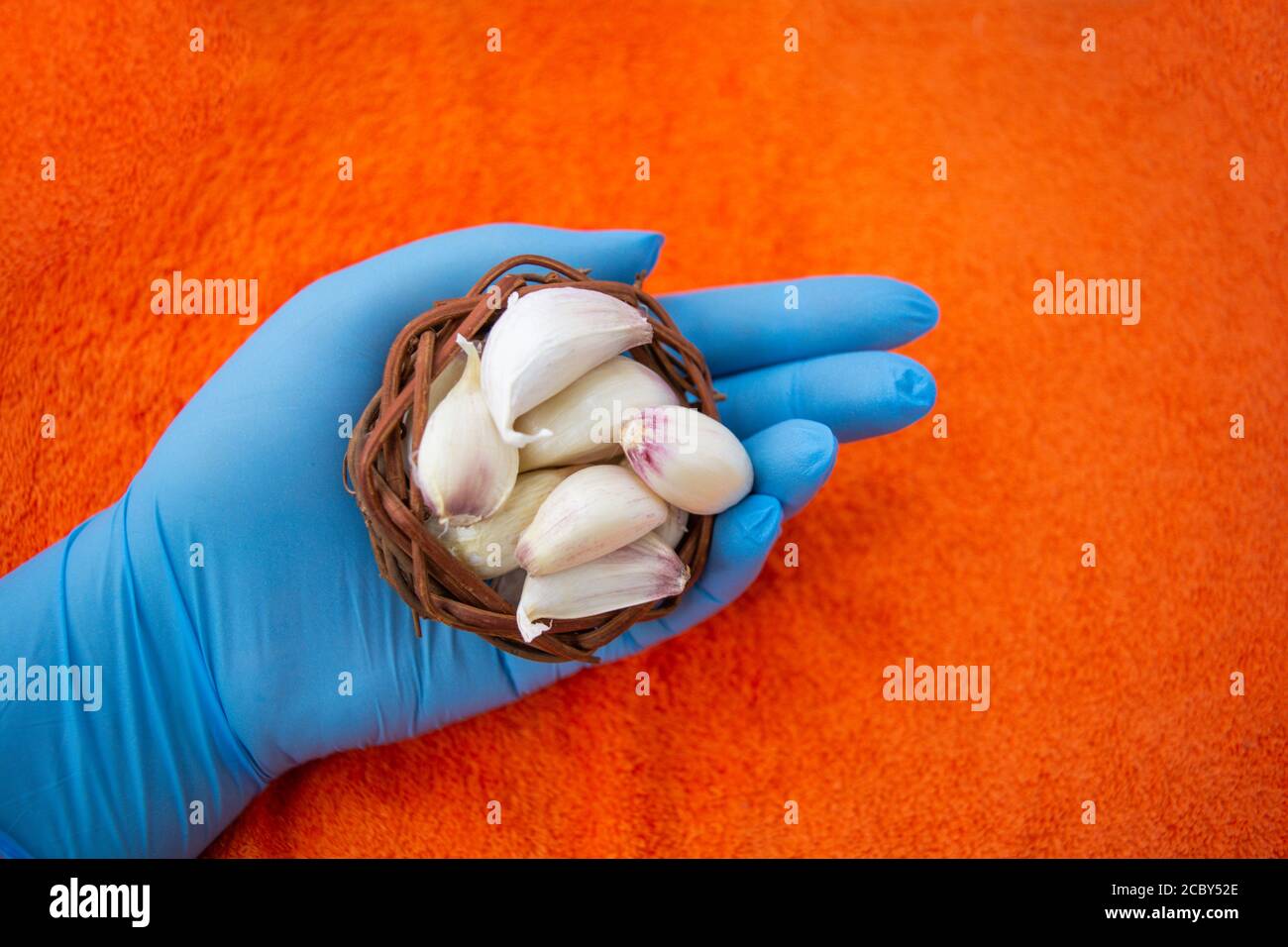 Hand in blue latex medical glove with Cloves of raw Garlic in wooden ...