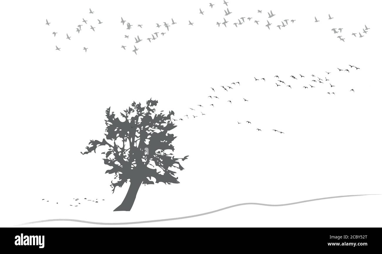 Birds Flying Silhouette Tumblr