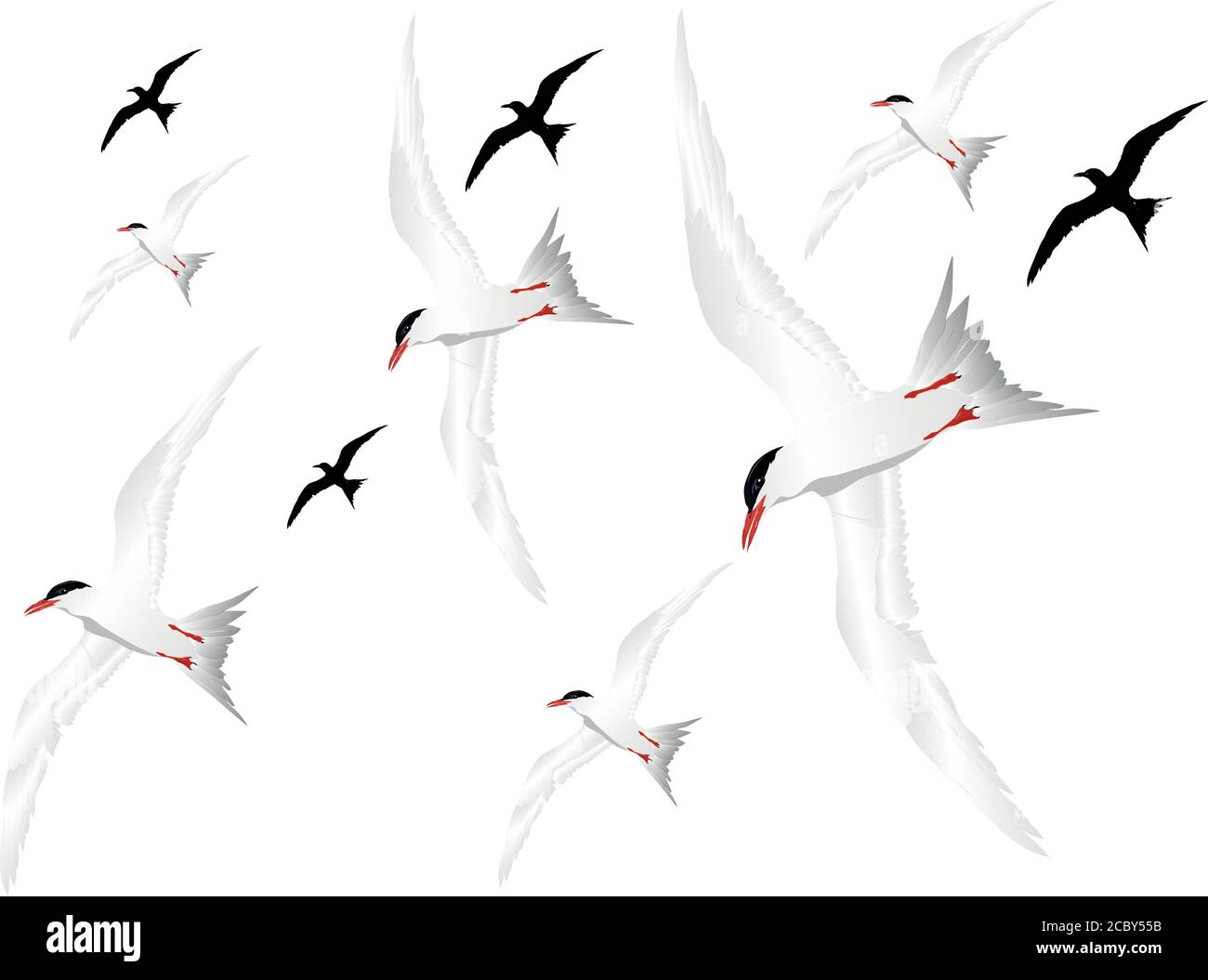 Flying bird. Vector birds. White background Stock Vector Image & Art ...