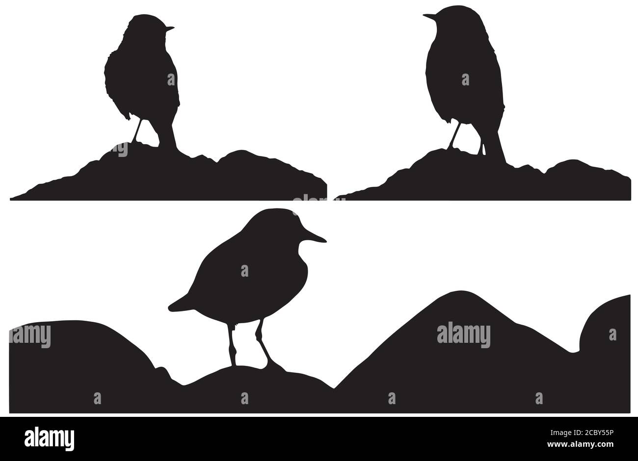 Cute little birds. Vector images. White background Stock Vector Image ...