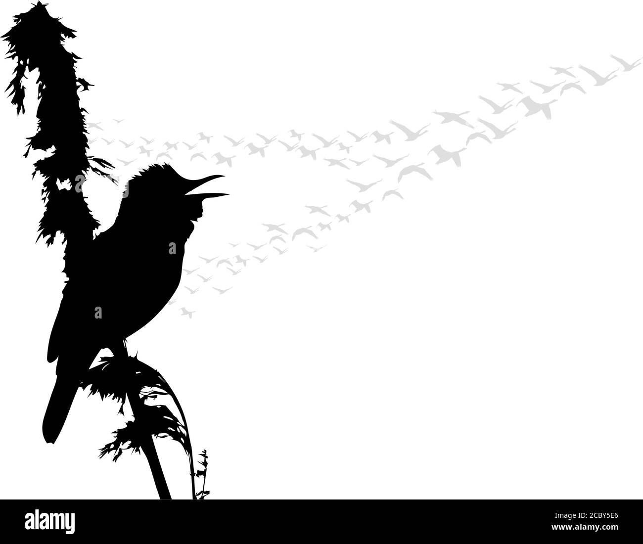 Cute little birds. Vector images. White background Stock Vector Image ...
