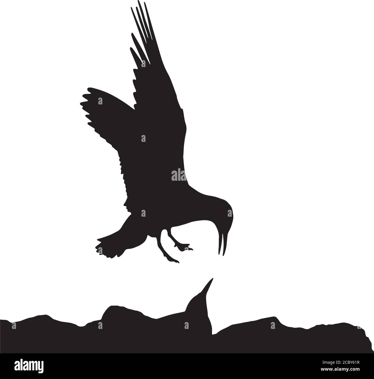 Flying bird. Vector birds. White background Stock Vector Image & Art ...