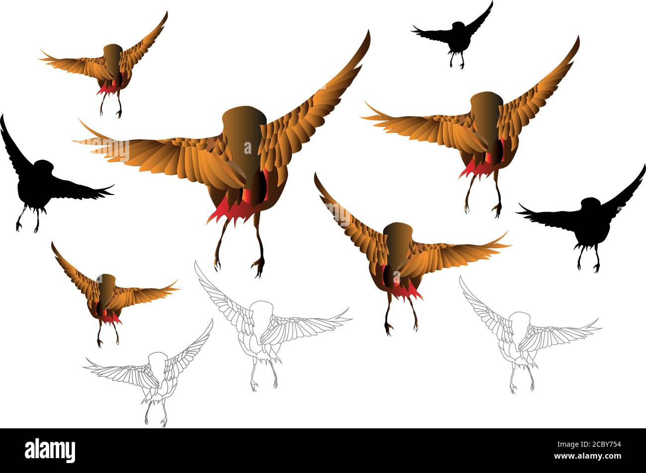 Flying bird. Vector birds. White background Stock Vector Image & Art ...