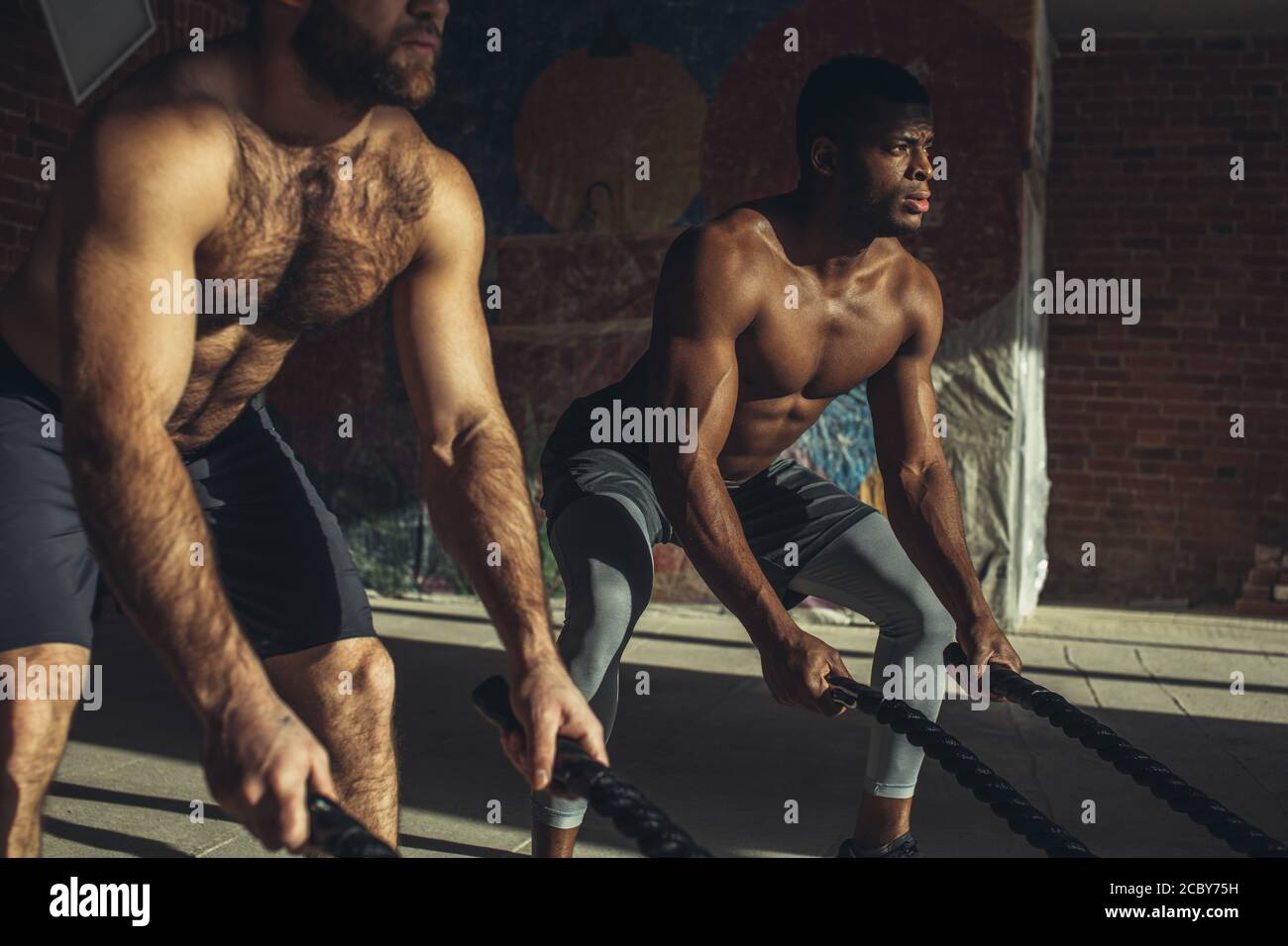 Two multiethnic shirtless male bodybuilders are exercising with ...