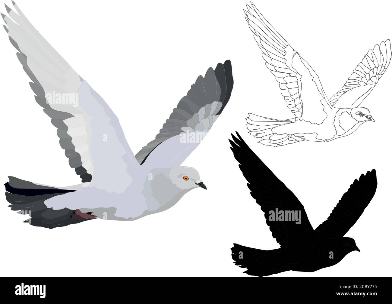 Flying bird. Vector birds. White background Stock Vector Image & Art ...