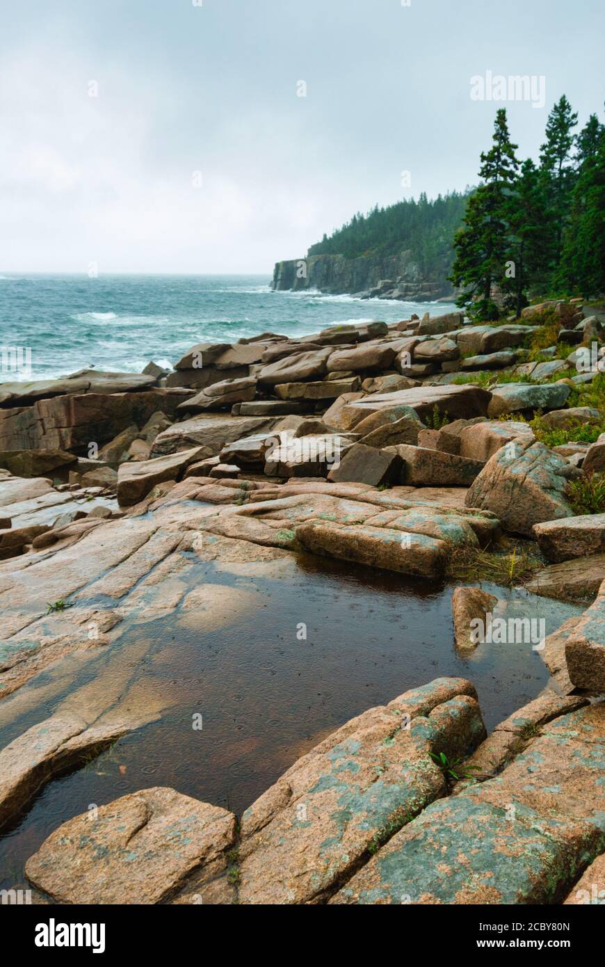 Rain on the Rocky Coast near Otter Cliffs in Acadia National Park ...