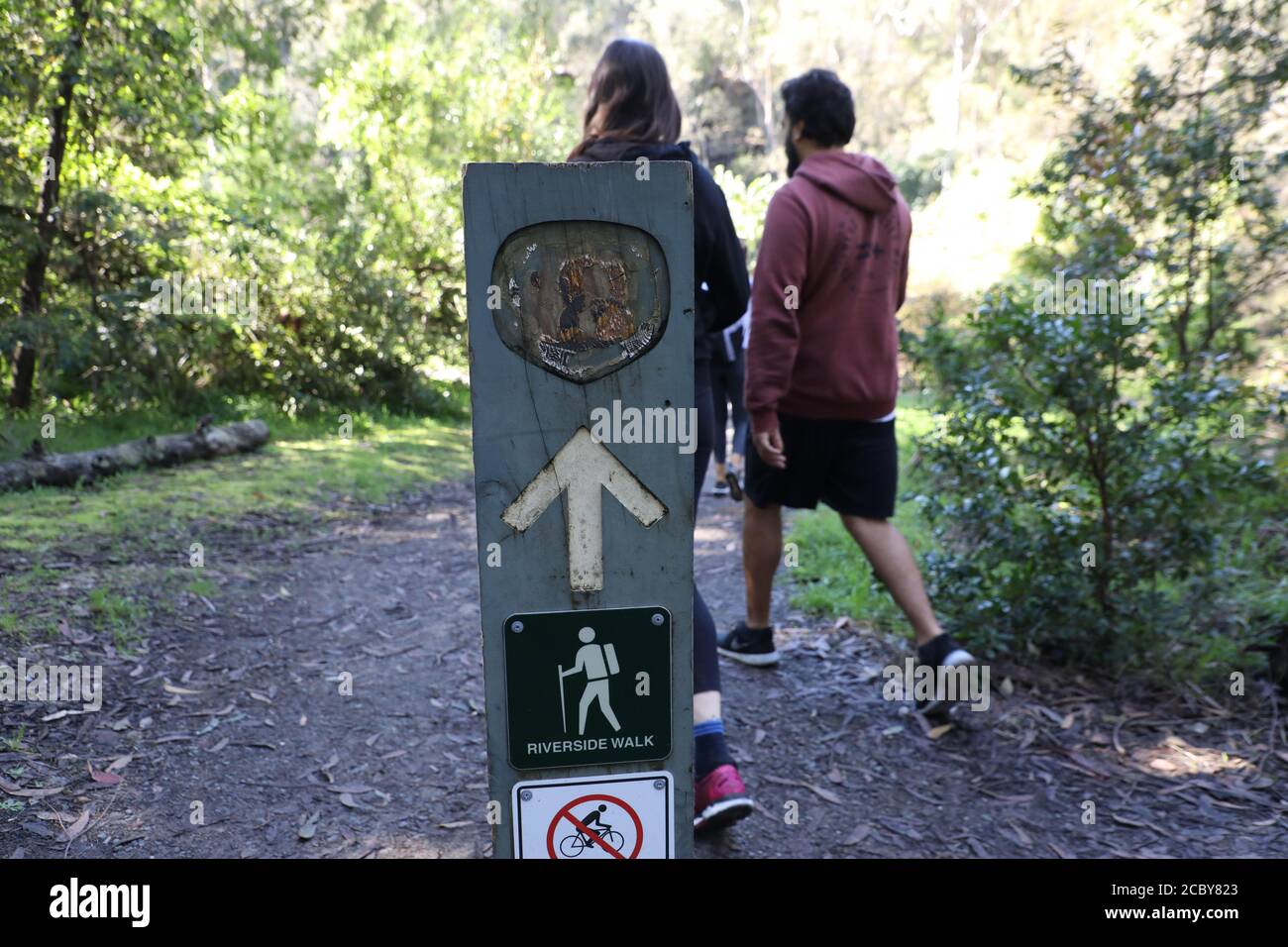 Riverside Walk, Lane Cove National Park, Sydney, NSW, Australia Stock ...