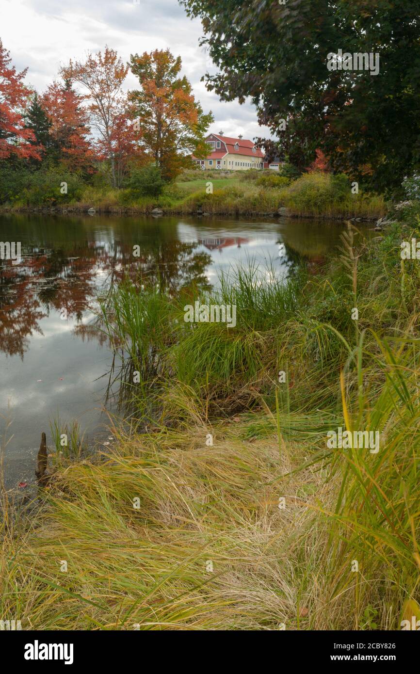 Scenic Thompson Bay Inlet on Mount Desert Island, Maine, USA Stock ...