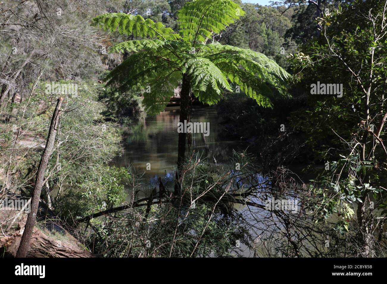 The Lane Cove River seen from Riverside Walk, Lane Cove National Park ...