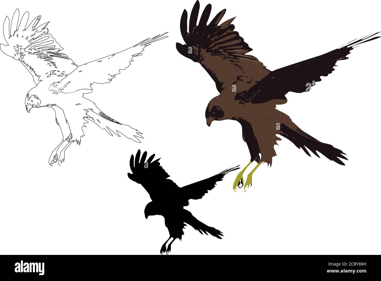 Bird of prey. Vector inages. White background Stock Vector Image & Art ...
