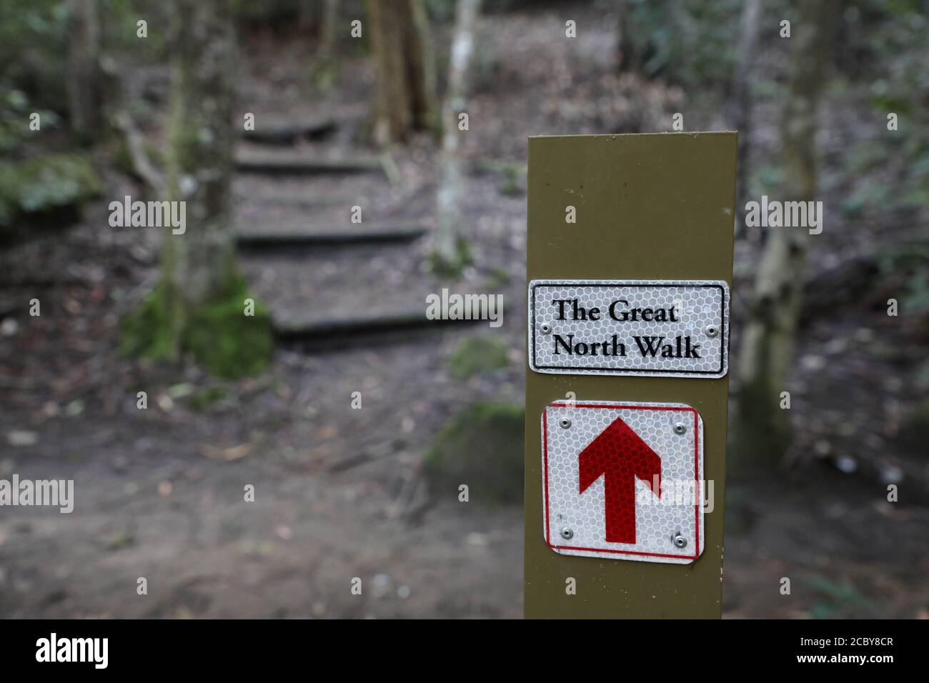 The Great North Walk, Lane Cove National Park, Sydney, NSW, Australia ...
