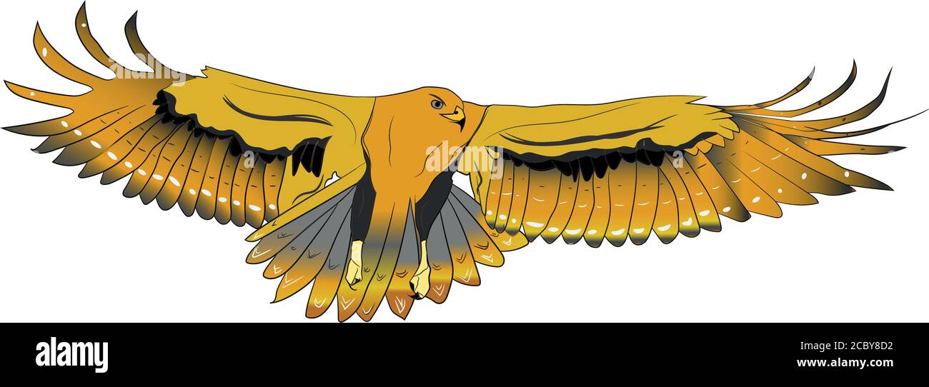 Flying bird. Vector birds. White background Stock Vector Image & Art ...