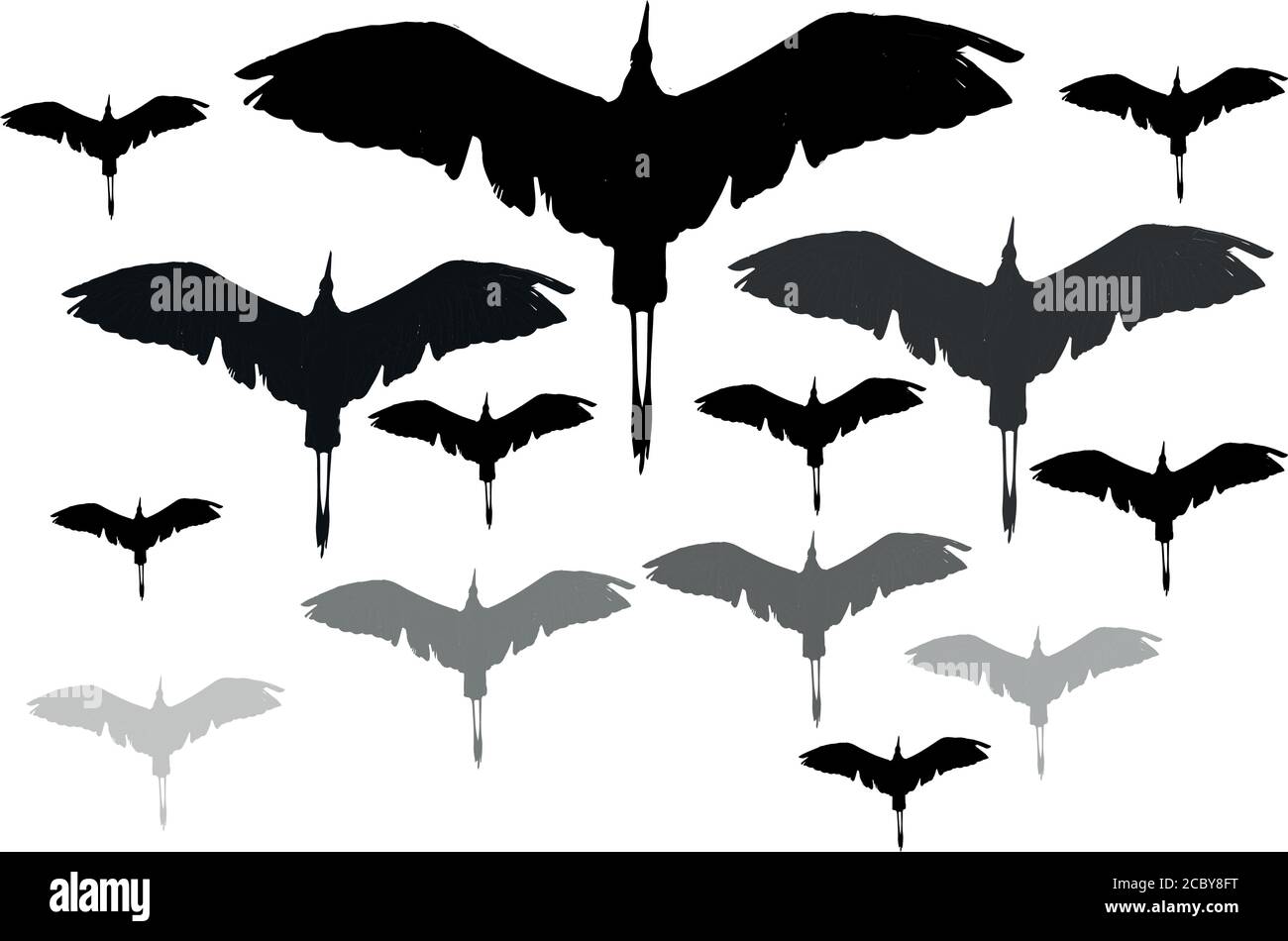 Flying bird. Vector birds. White background Stock Vector Image & Art ...