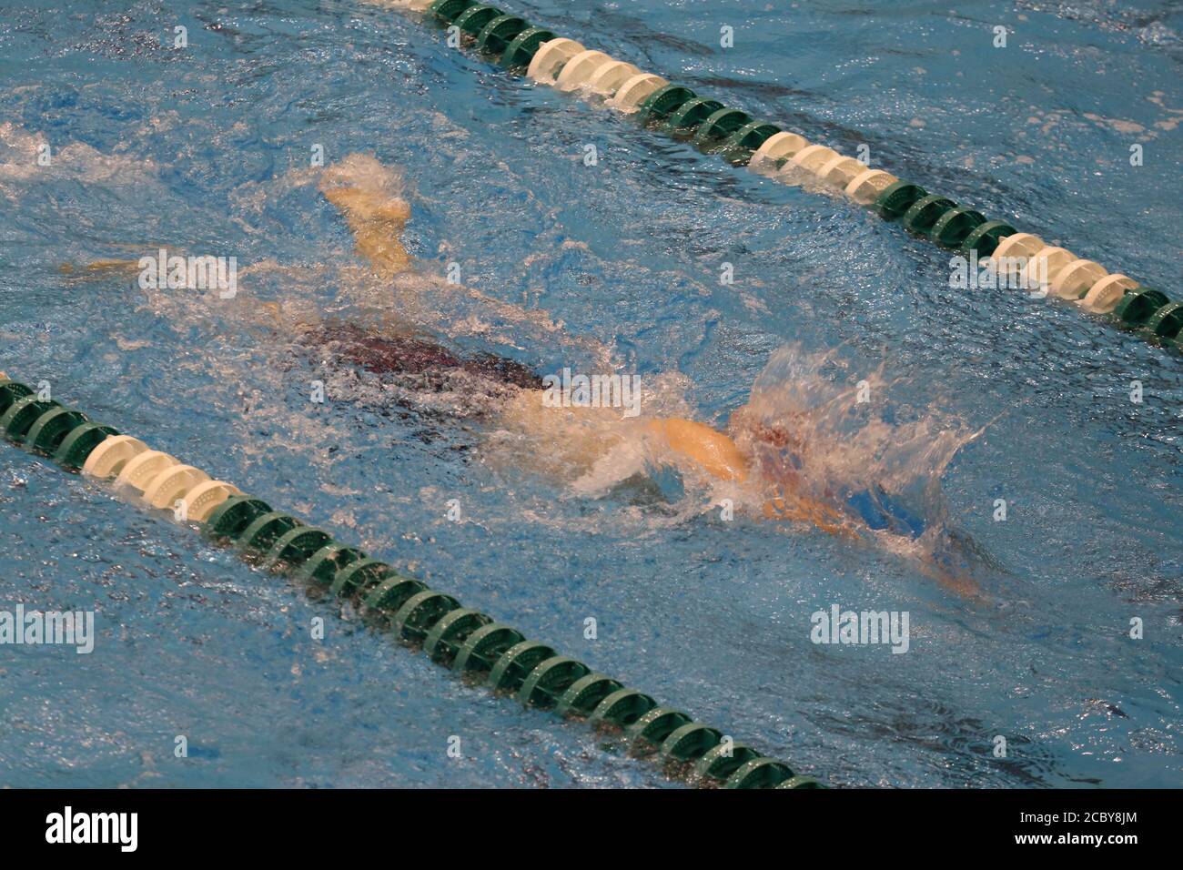 Swimmer racing in the pool Stock Photo - Alamy