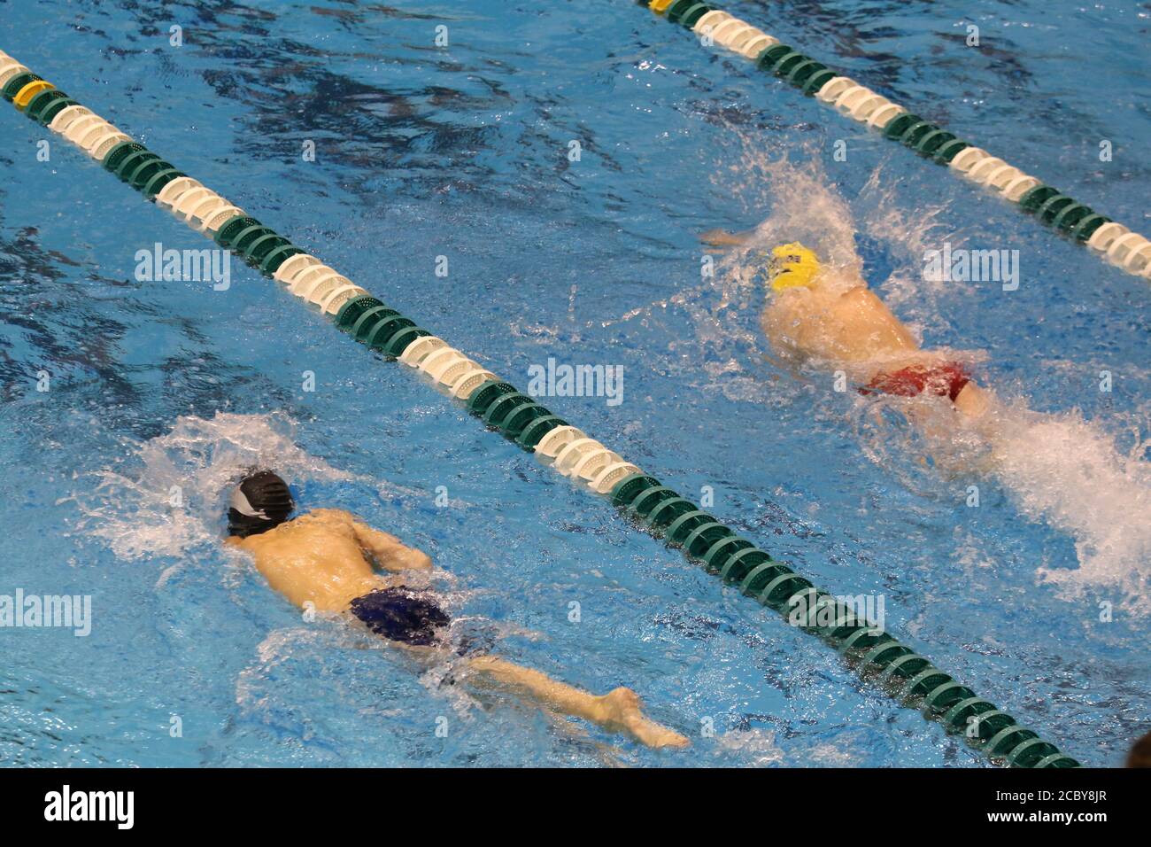 Swimmers breaststroke race Stock Photo - Alamy