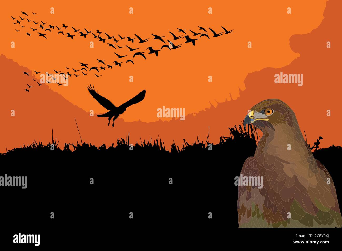 Migrating birds sunset Stock Vector Images - Alamy