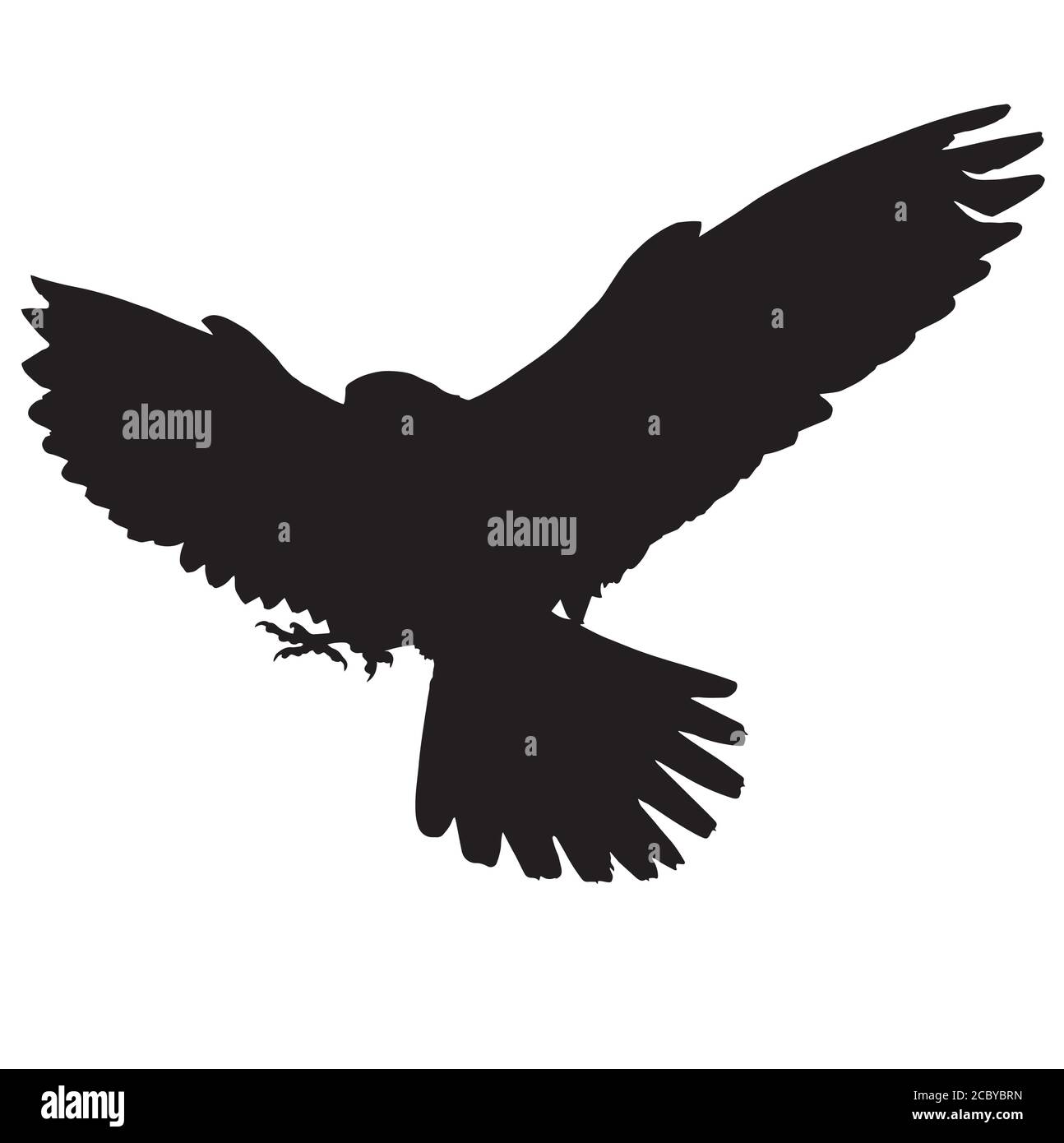 Bird of prey. Vector image. White background Stock Vector Image & Art ...