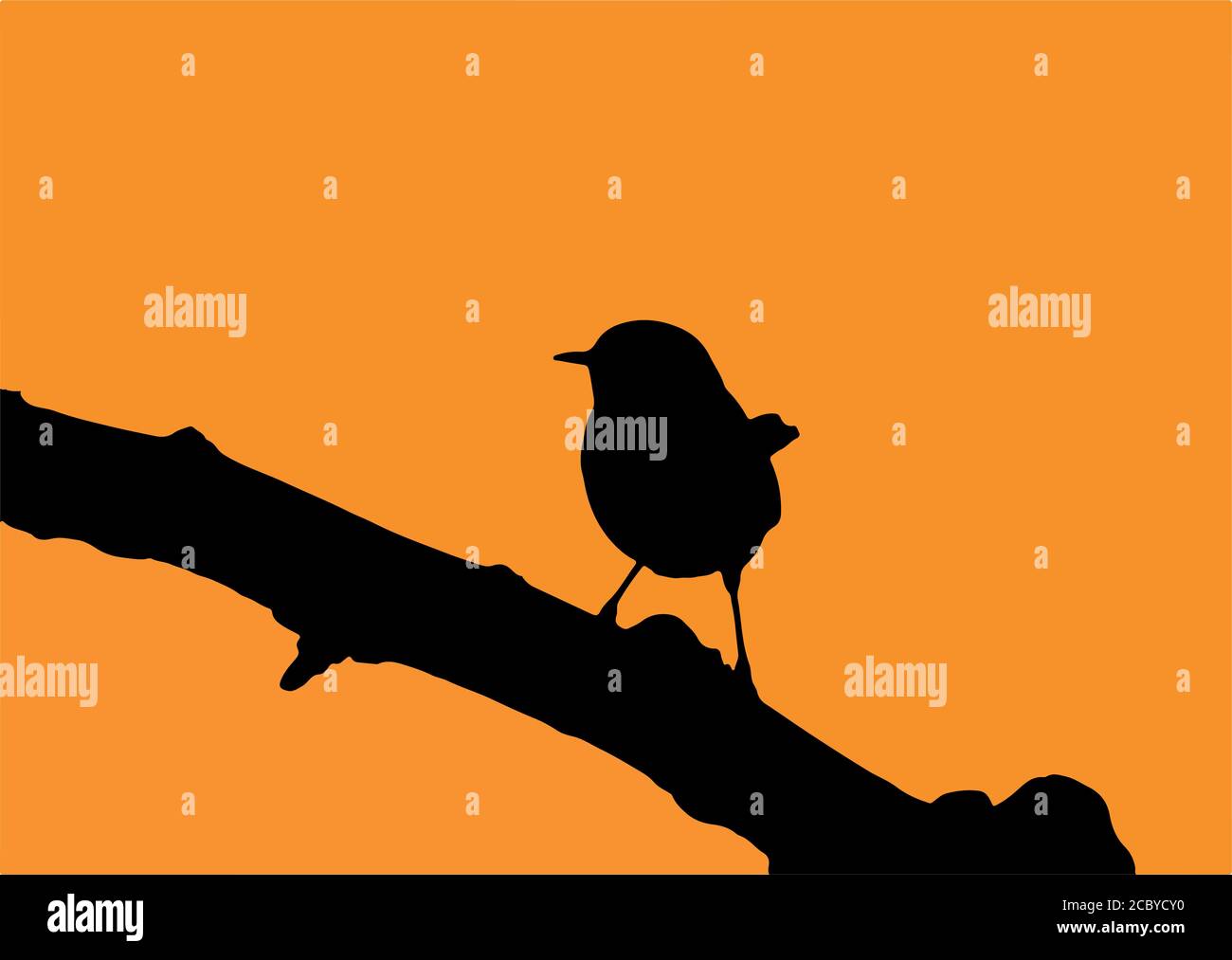 Cute little birds. Vector images. White background Stock Vector Image ...