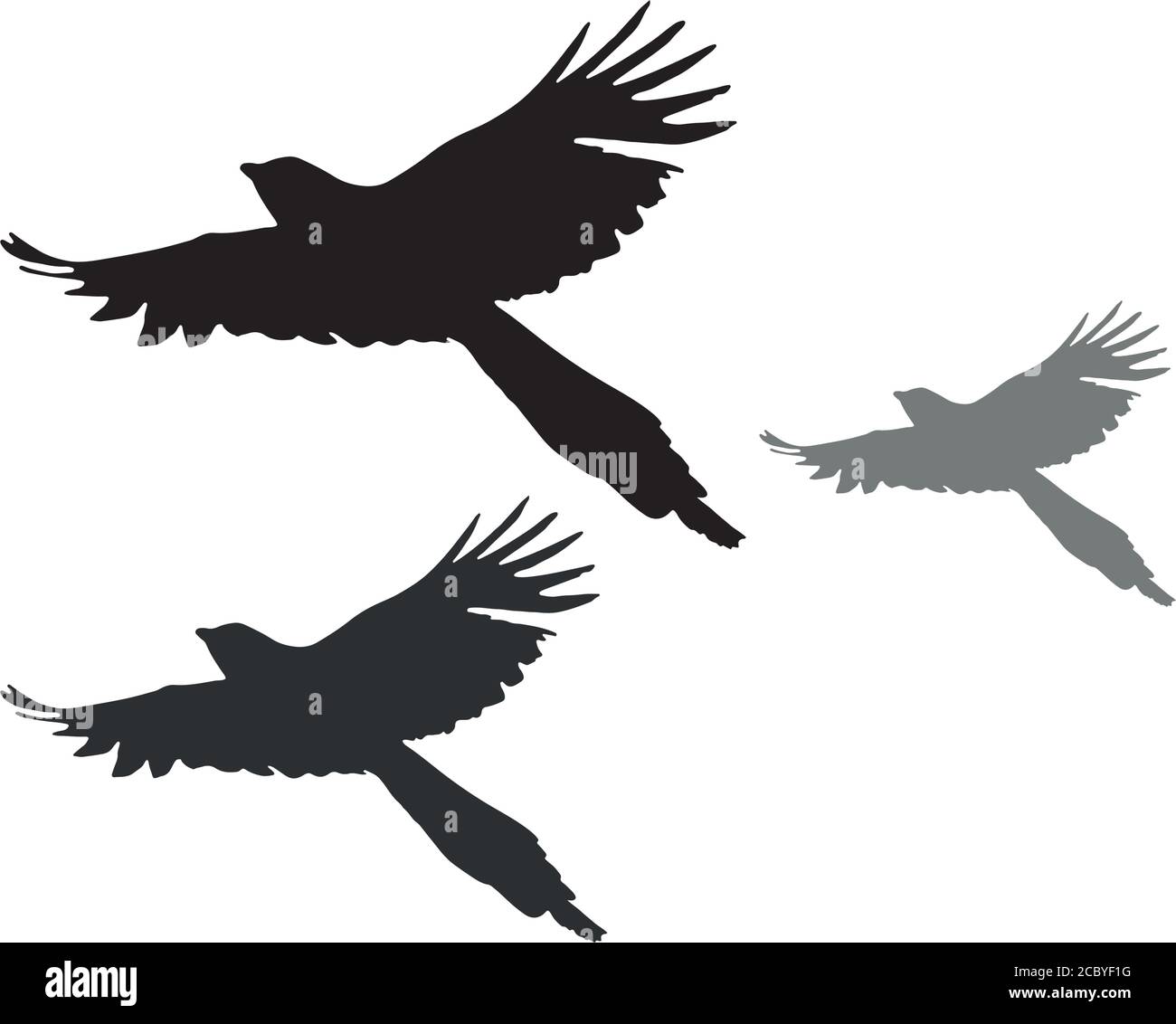 Flying crow. Vector image. Magpie. White background Stock Vector Image ...