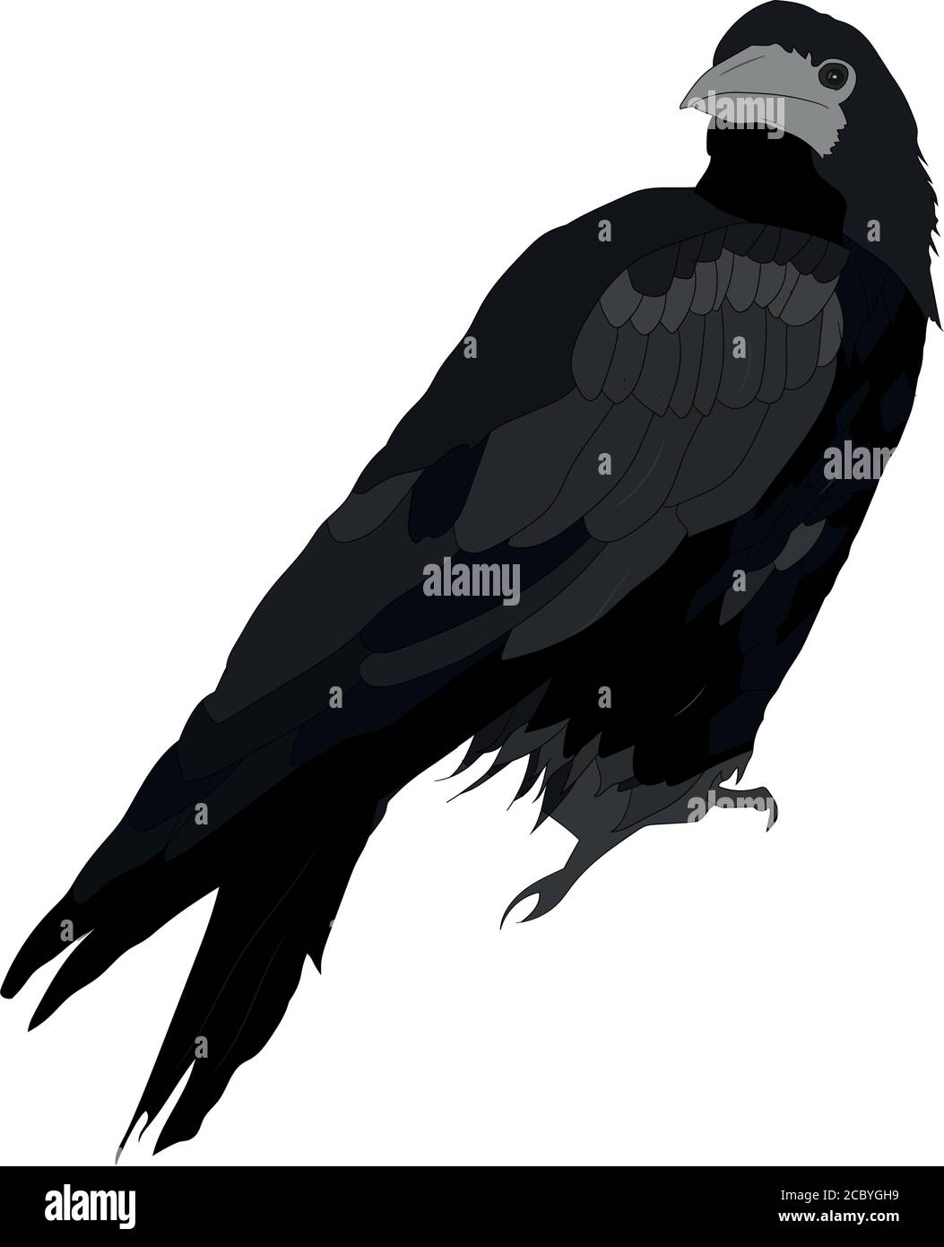 Rookvector Rook Vector Art, Icons, And Graphics For Free Download