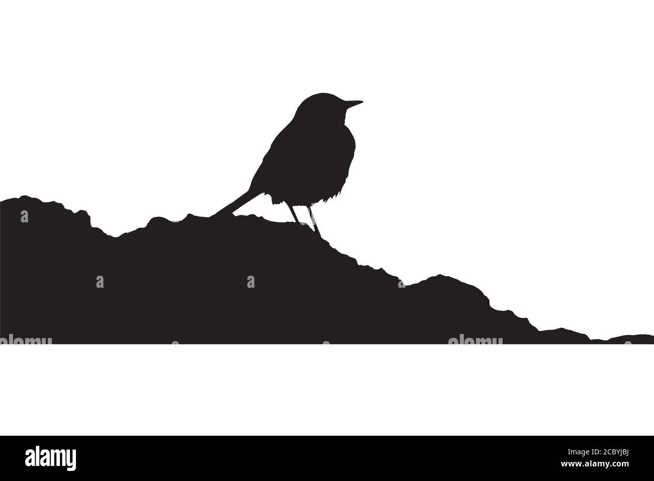 Cute little birds. Vector images. White background Stock Vector Image ...