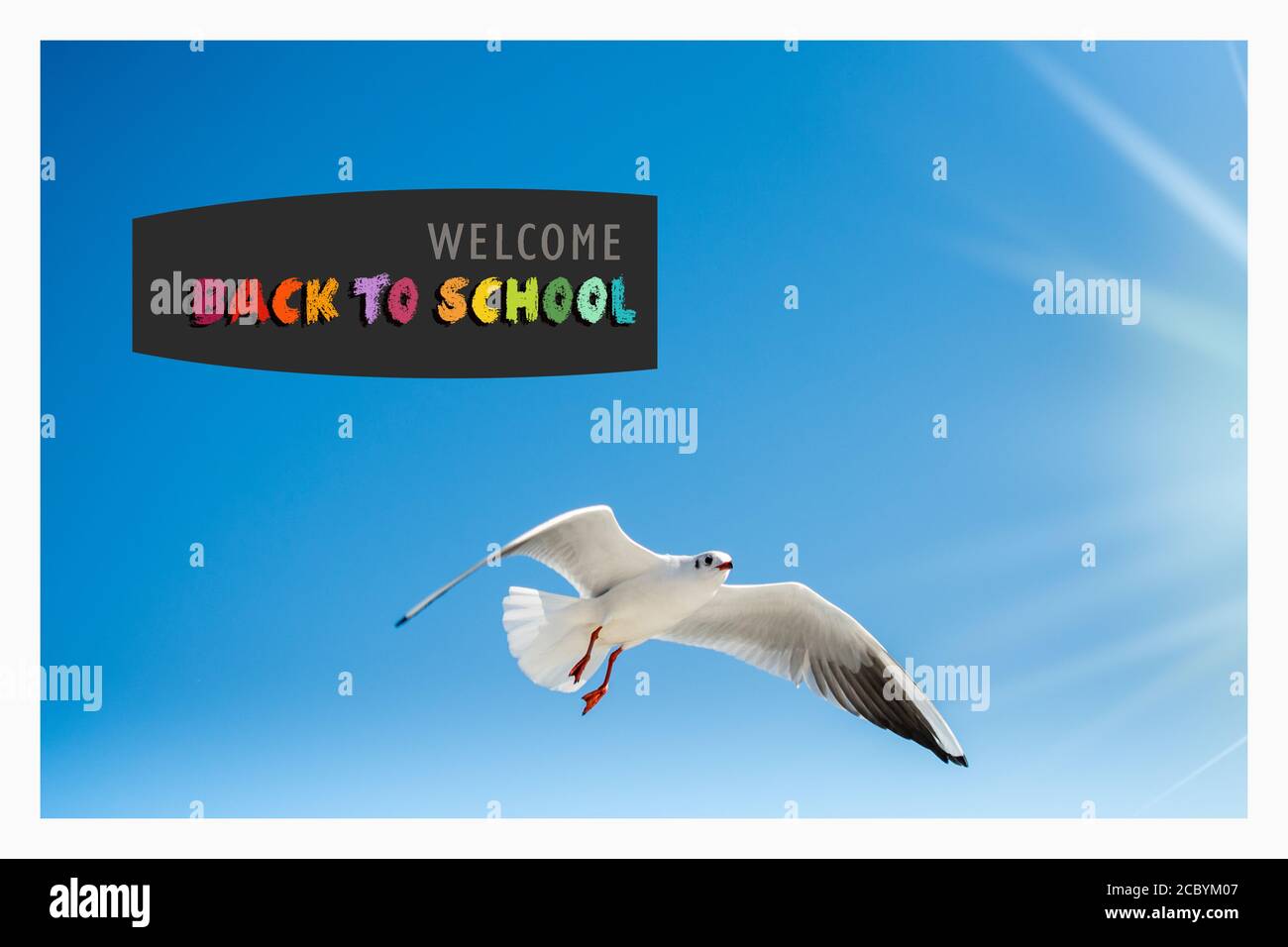 Back to school, education background for invitation, promotion poster ...