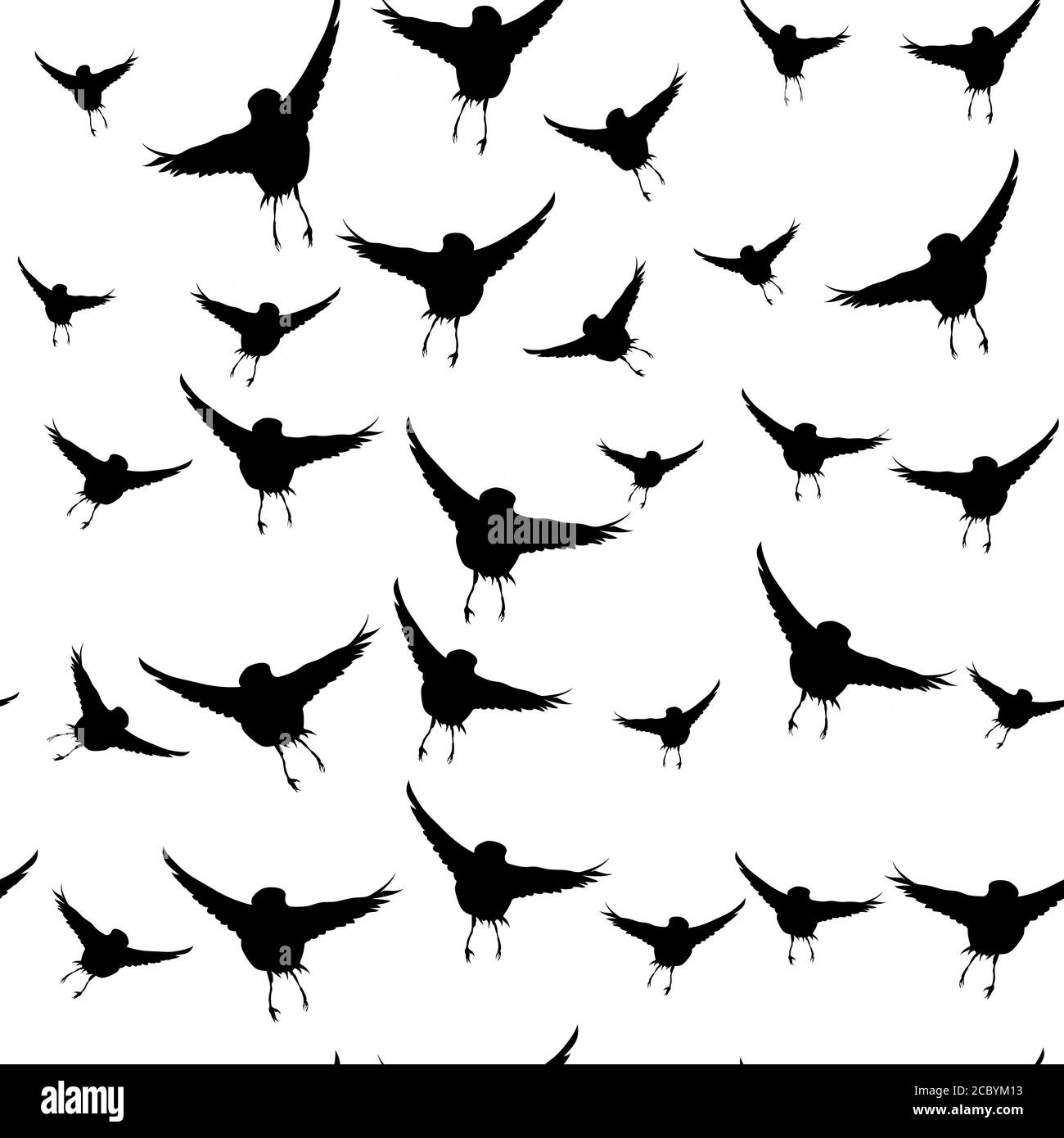 Birds. Vector image. White background. Seamless pattern Stock Vector ...