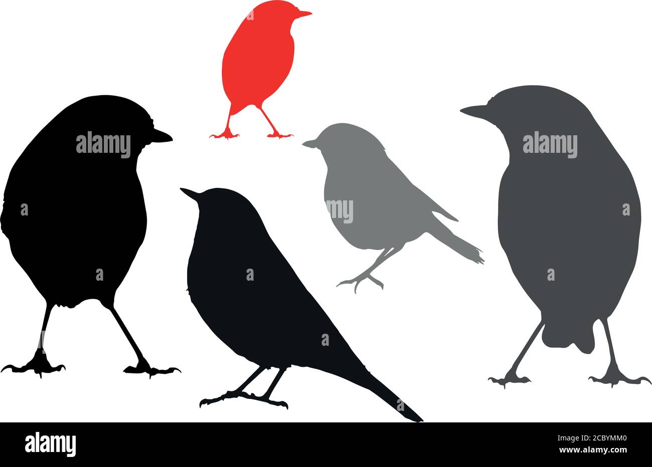 Cute little birds. Vector images. White background Stock Vector Image ...
