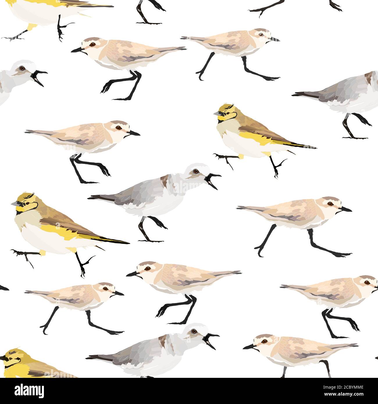 Birds. Vector image. White background. Seamless pattern Stock Vector ...