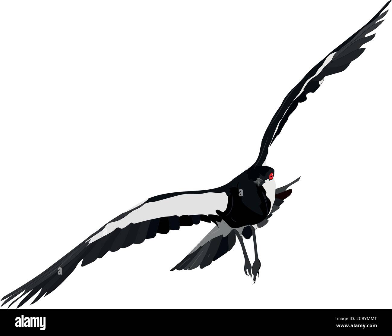 Flying bird. Vector birds. White background Stock Vector Image & Art ...