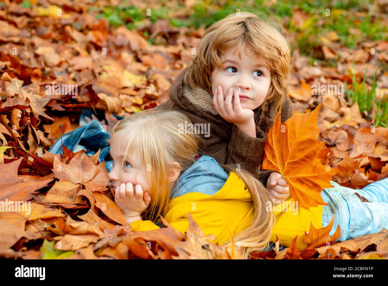 Little boy and girl laying in autumn park. Colorful foliage, maple ...