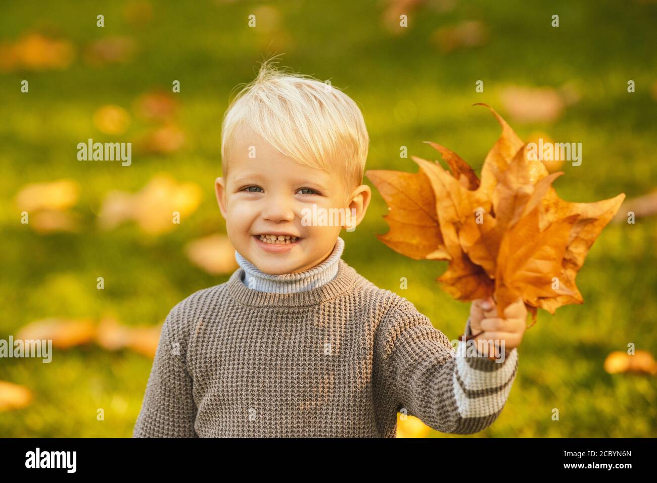 Smiling blonde kid hold autumn leafs in the nature. Cute little boy ...