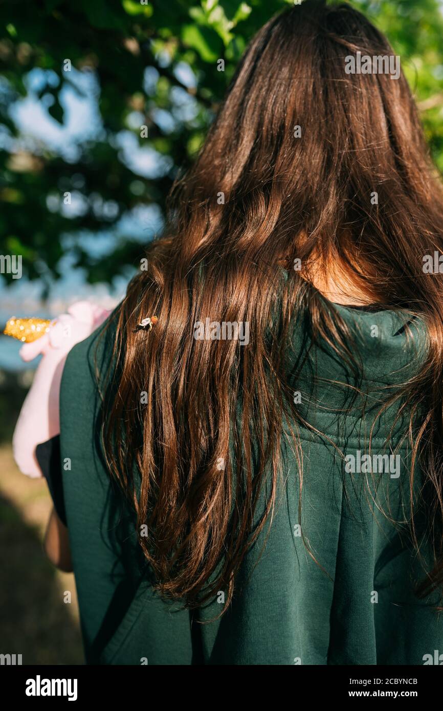 Dark Brown Hair Back View