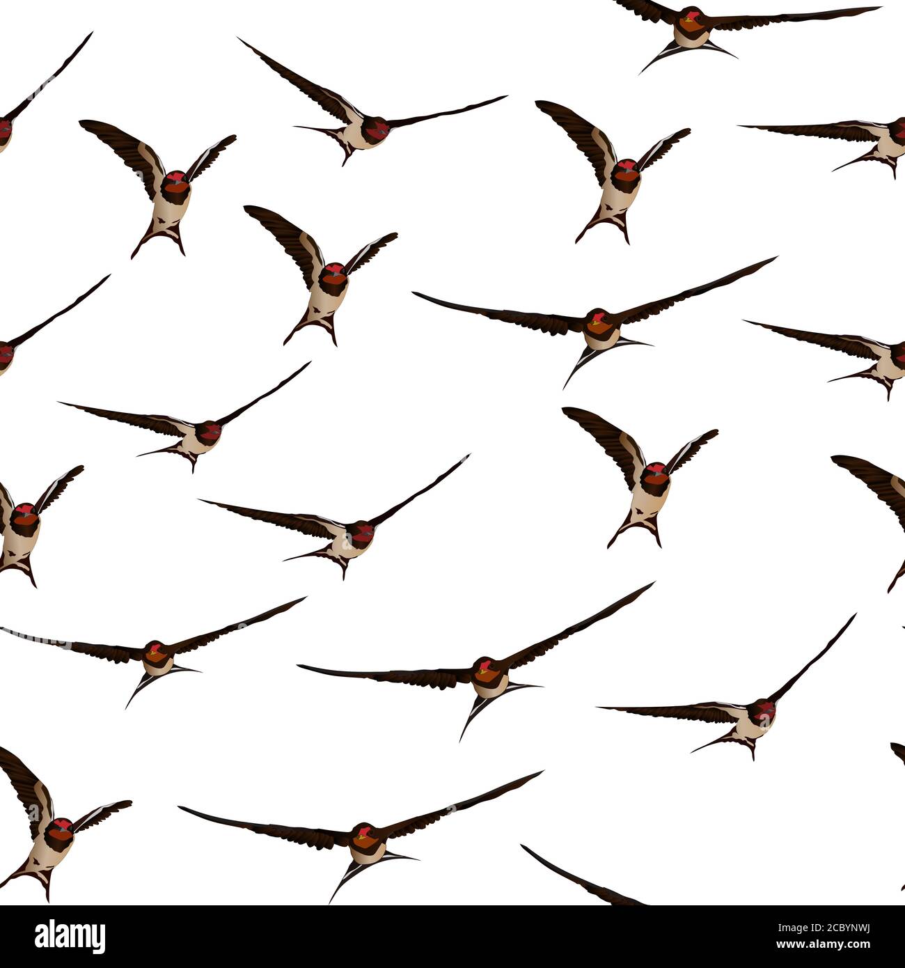 Birds. Vector image. White background. Seamless pattern Stock Vector ...