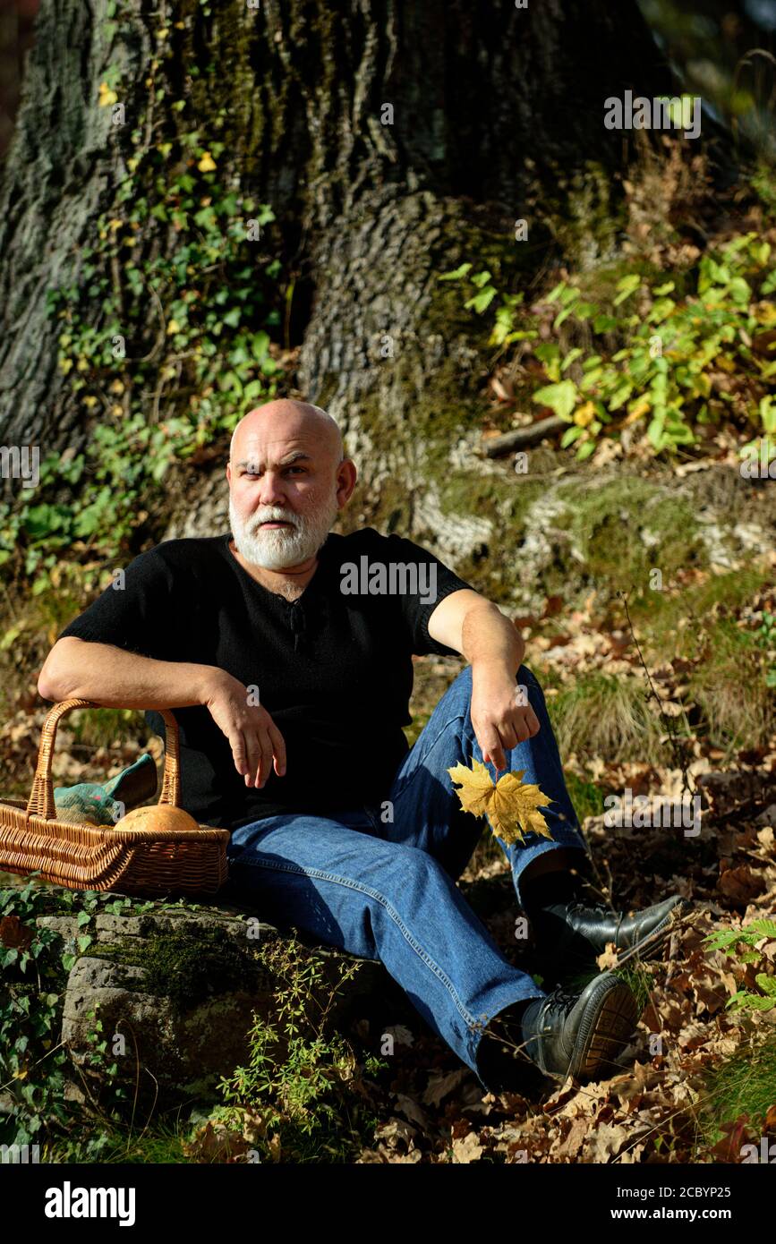 Elderly man in autumn park with fall foliage Stock Photo - Alamy