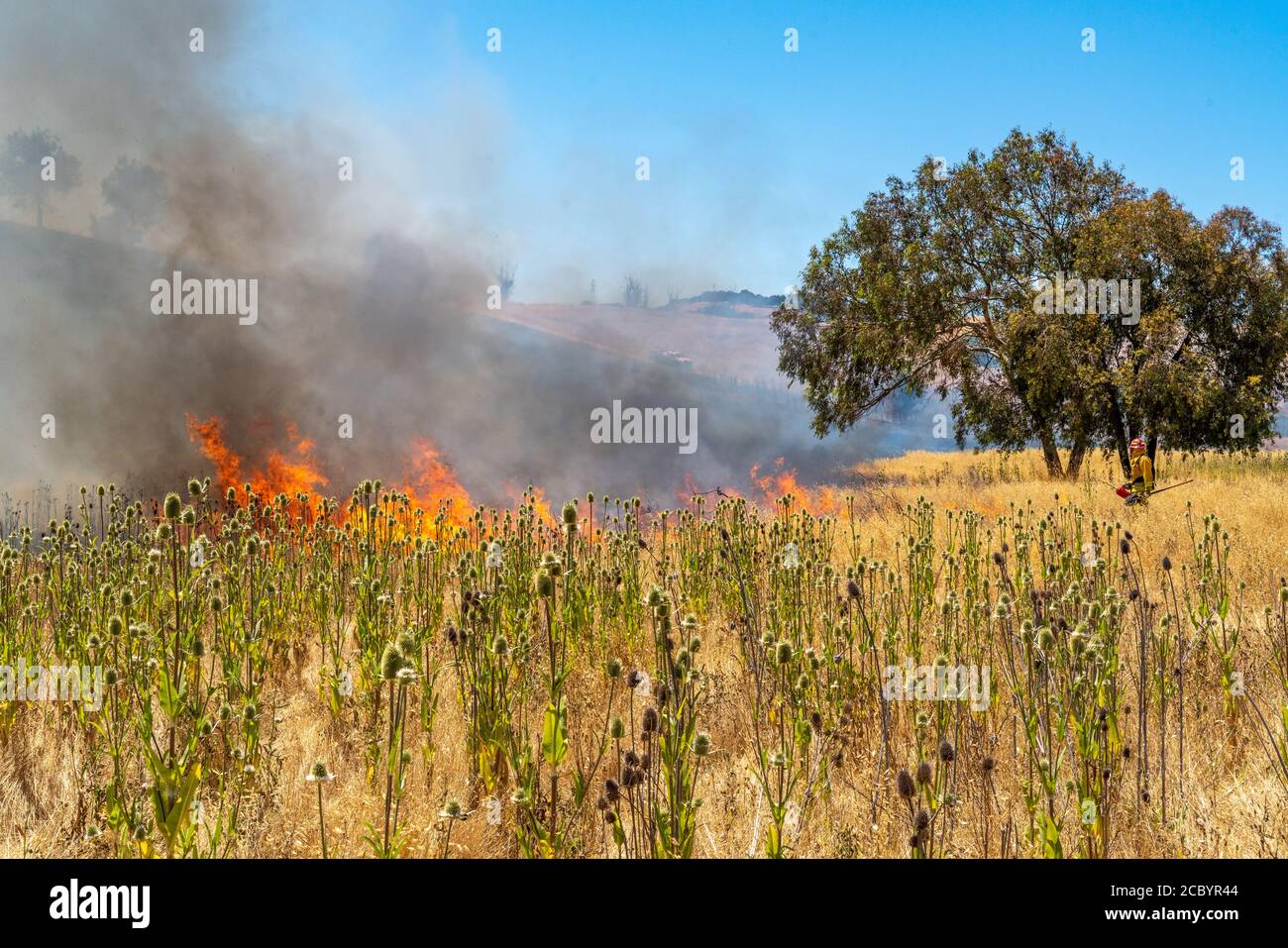 Wildfire raging in department hi-res stock photography and images - Alamy