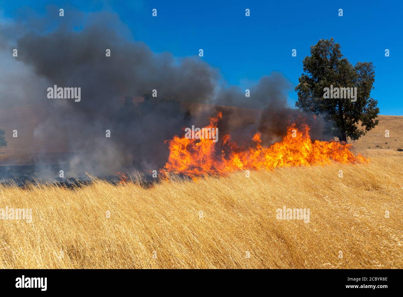 Wildfire raging across grass meadow in California Stock Photo - Alamy