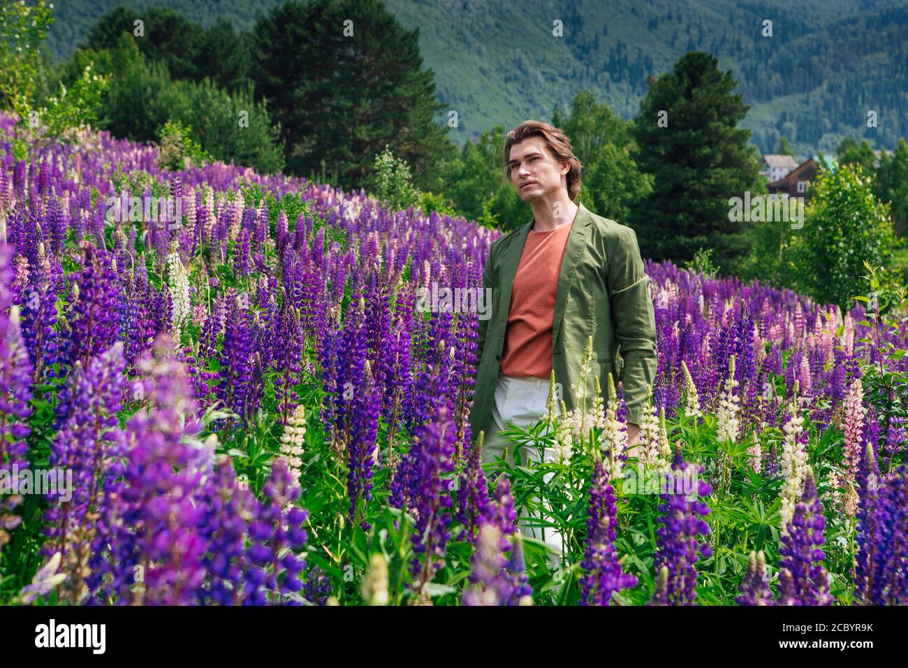 Tall handsome man standing on lupine flowers field Stock Photo - Alamy
