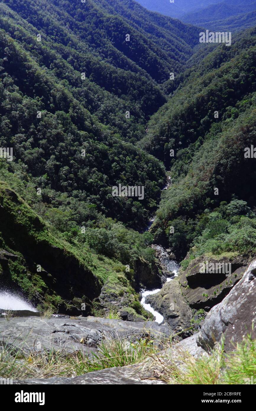 Wooroonooran national park hi-res stock photography and images - Alamy