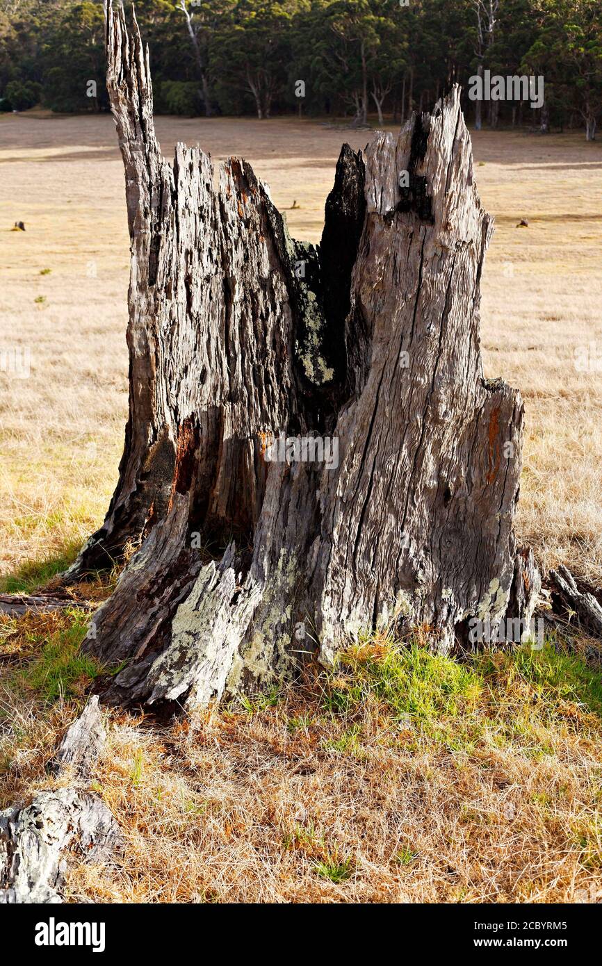 Weathered landscape hi-res stock photography and images - Alamy