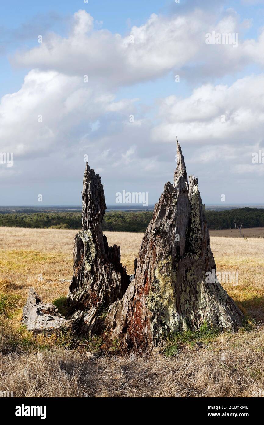 Weathered landscape hi-res stock photography and images - Alamy